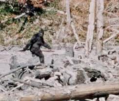 The Legend of Sas-squash. | carbonated joy